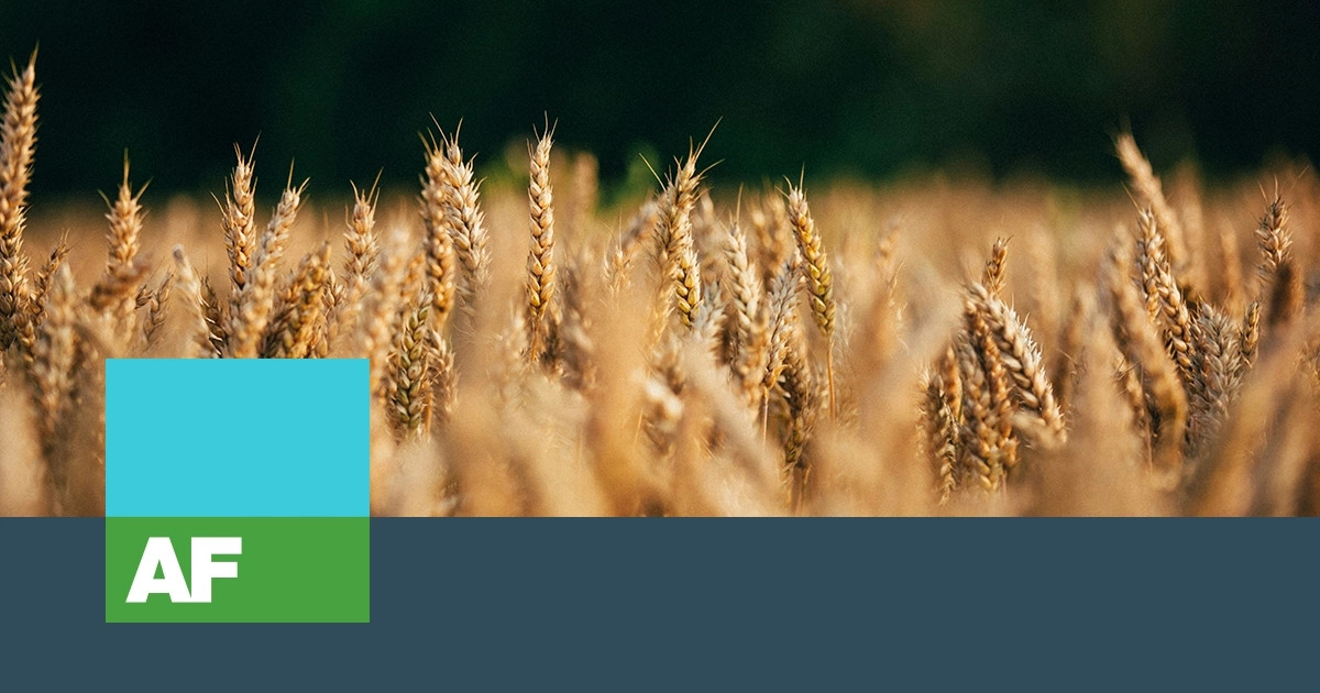 AF Member Classifieds | Buy & Sell Within the Farm Community